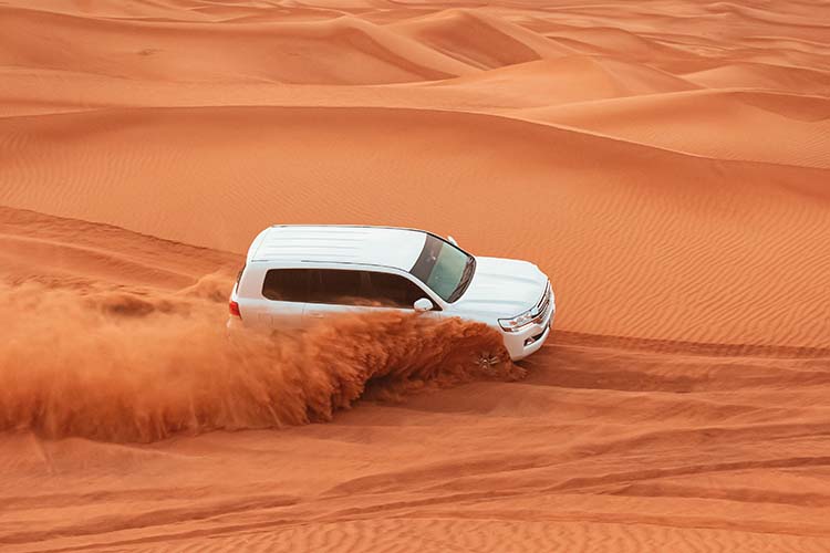 Red Dune Desert Safari in Dubai - 2023 Best Safari Deals