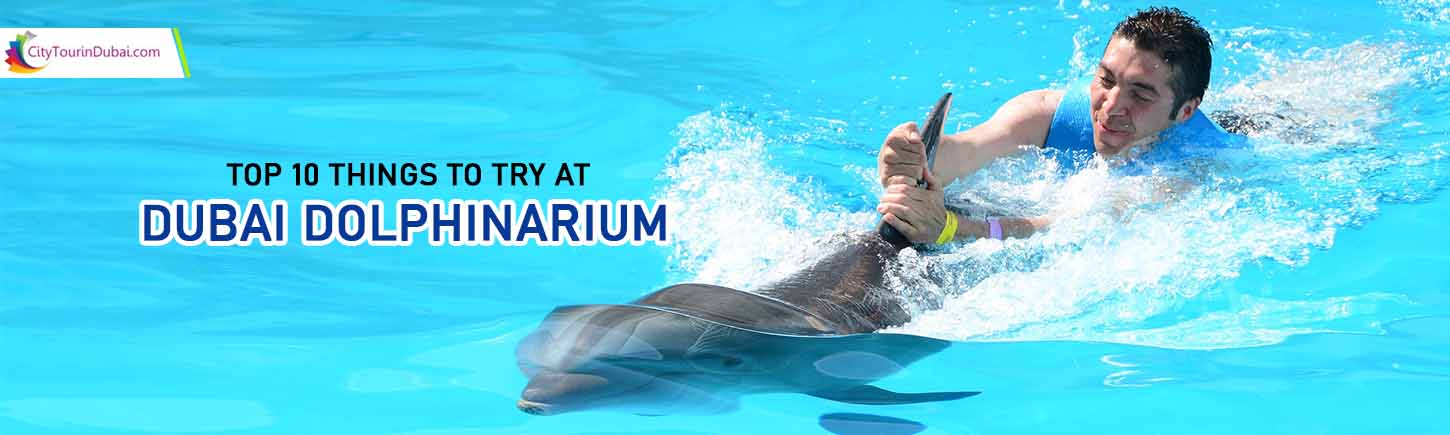 Top 10 Things to Try at Dubai Dolphinarium