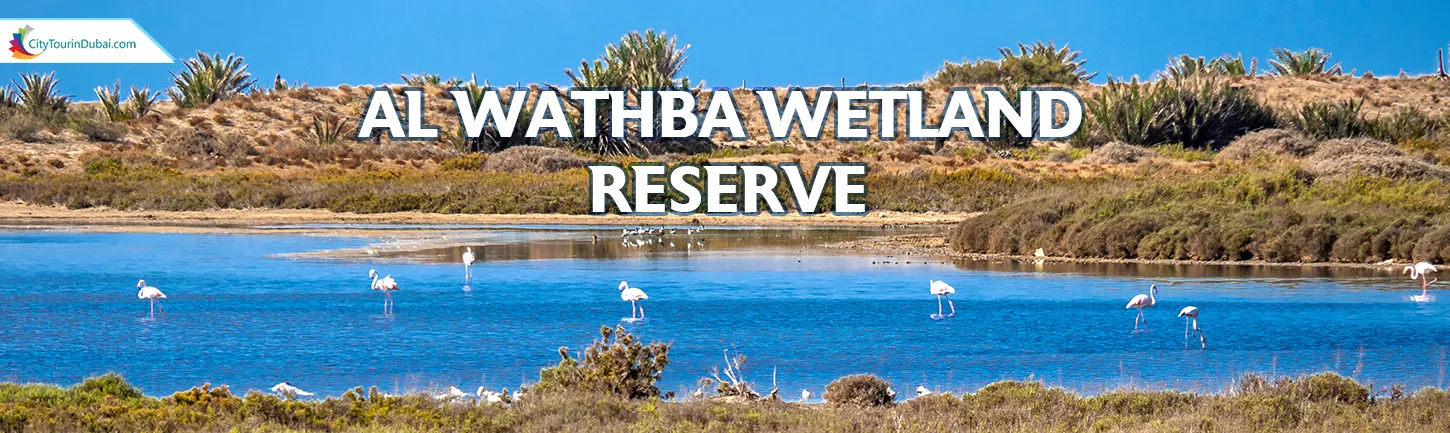 Al Wathba Wetland Reserve: Location, Things to See, Timing, Price